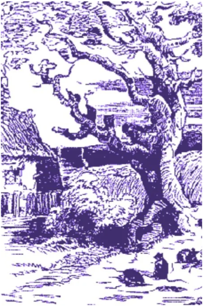 Can You See The Cat? - Psych Safety